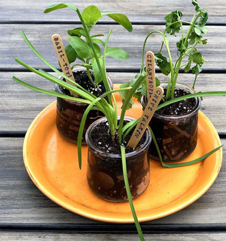 Oui Planters • A Crafty Composition